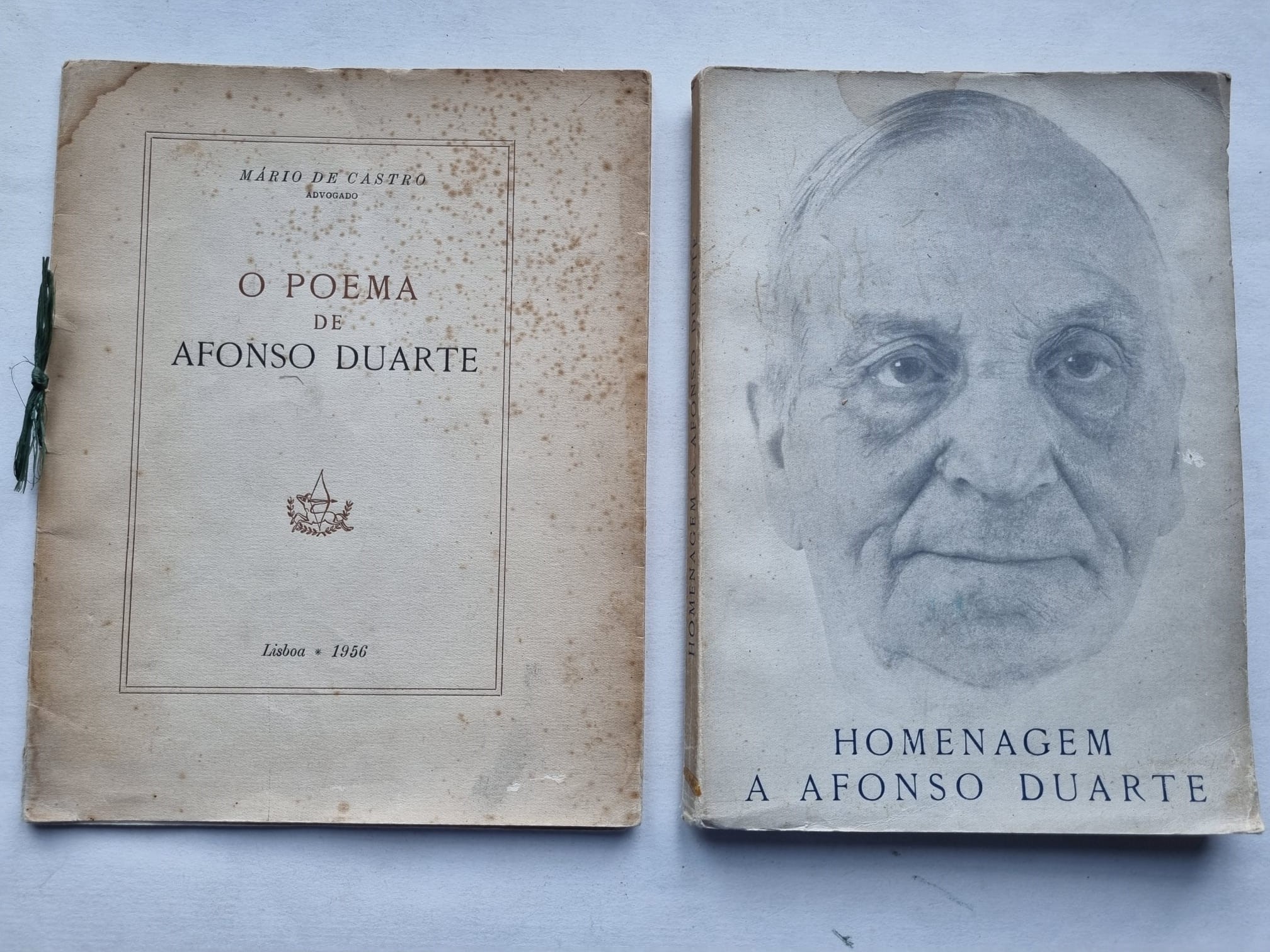 AFONSO DUARTE | Bidding